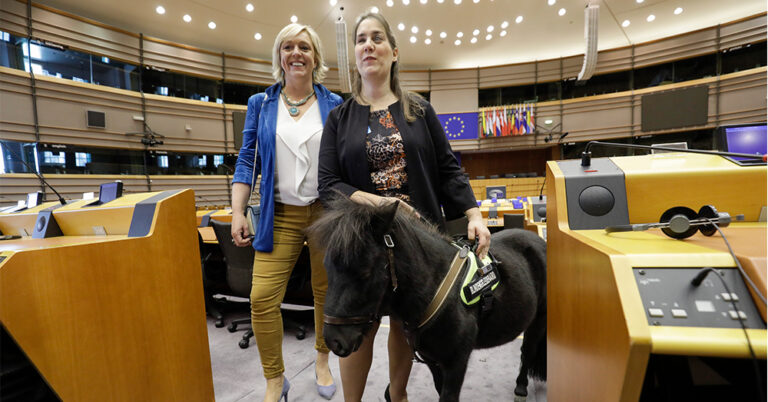 Partijbestuur Open Vld behoudt vertrouwen in Europees lijsttrekker ...