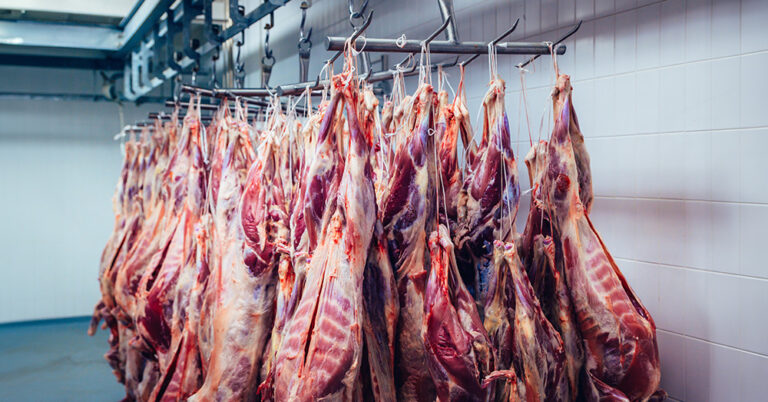 Halal-markt in Europa boomt: "Ritueel geslacht vlees zou norm kunnen ...