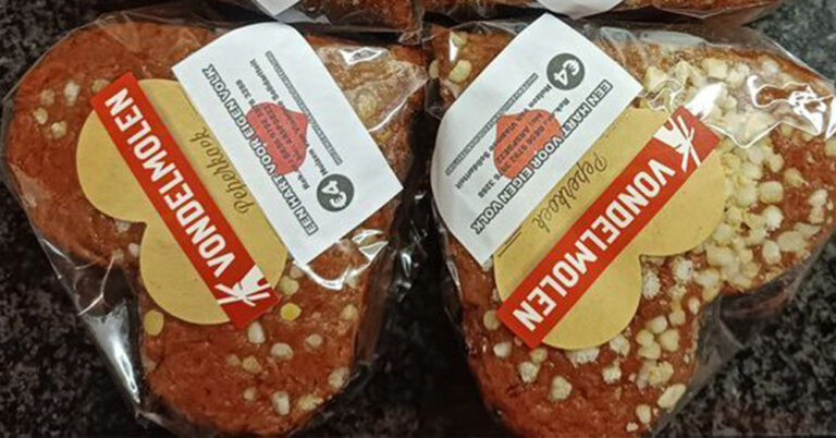 Een Vlaamse sociale actie - PAL